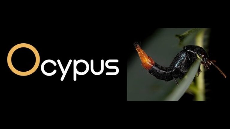 Ocypus là gì? Thương hiệu case, nguồn và tản nhiệt PC từ Trung Quốc » NETWORK HUB